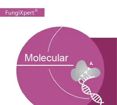 CE Certification Carbapenem Resistance Gene Detection Kit (Real-time ...